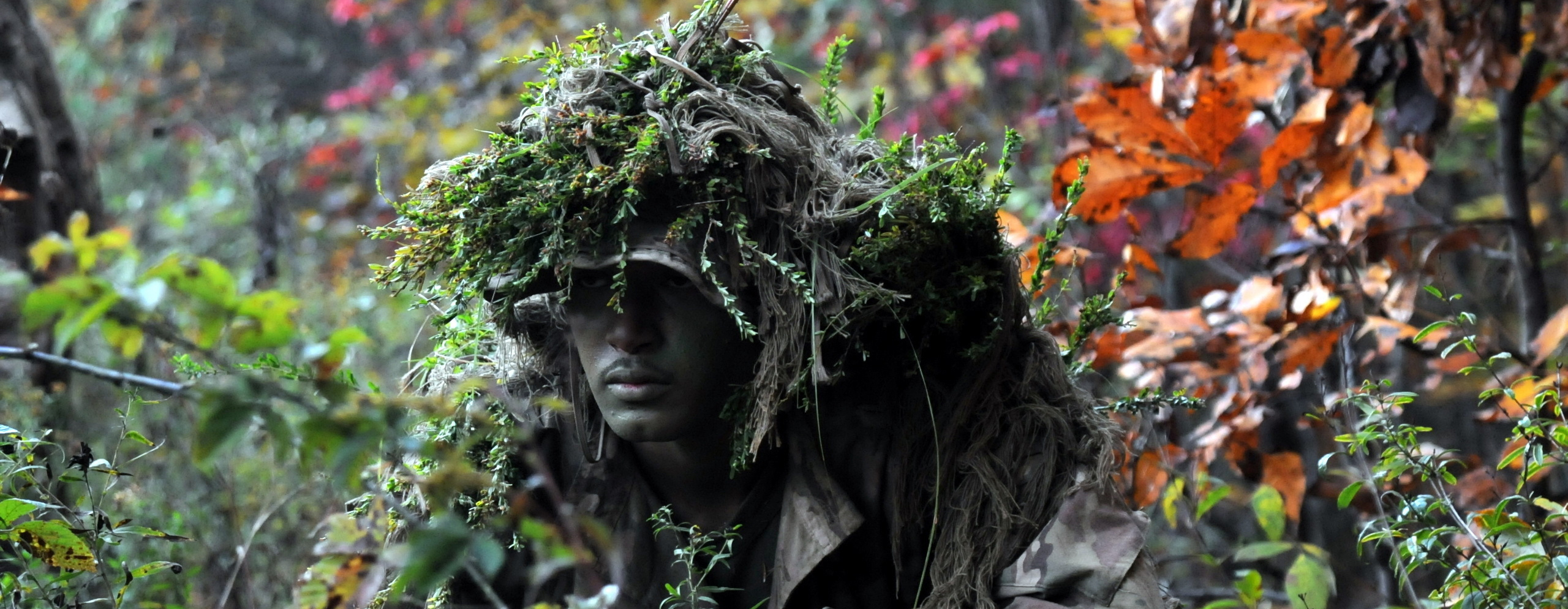 As 5 formas básicas de camuflagem | Sobrevivencialismo